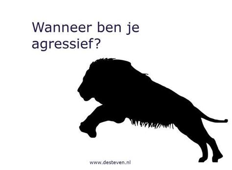 Assertief Subassertief En Agressief Gedrag Wat Is Het