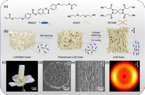 Preparation And Structure Of The Liquid Crystal Elastomer Lce Foam Download Scientific