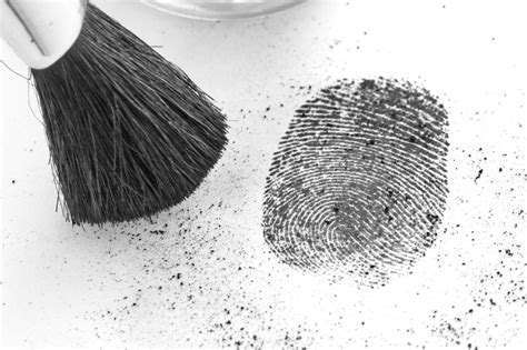 Fingerprint Processing Forensic Assurance