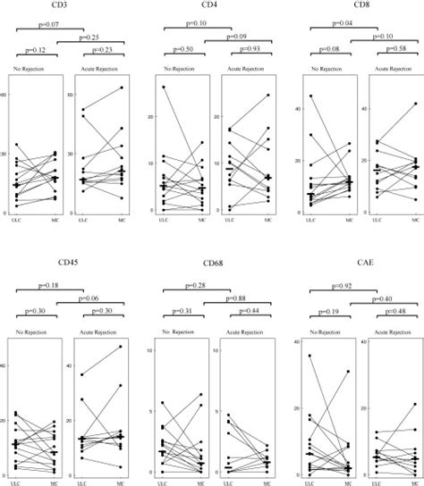Cell Counts 105μm2 In Endobronchial Biopsy Samples From Allogeneic Download Scientific