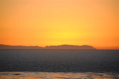 Anonymous User Medium