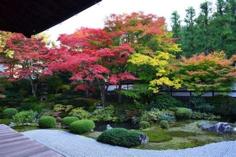 როგორ მოვაწყოთ თვალისმომჭრელად ლამაზი ბაღები იაპონურ სტილში 45 საოცარი იდეა
