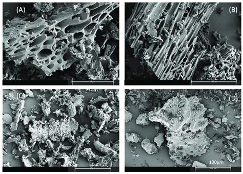 Sem Visualization Of Individual Biochar Sample A And B Photographs