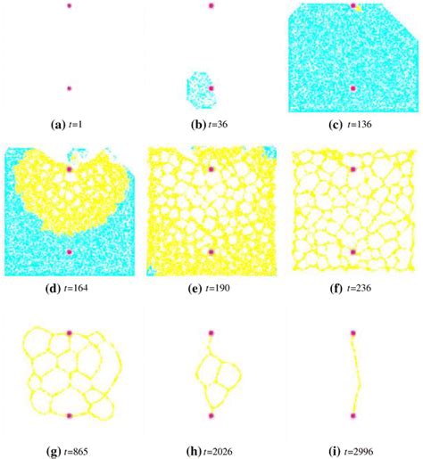 Color Online Path Finding In A Two Nodes Environment The Data