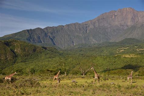 Arusha National Park Plains Of Serengeti