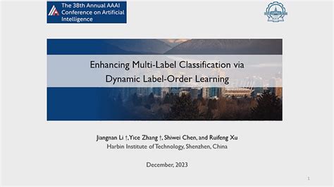 Underline Enhancing Multi Label Classification Via Dynamic Label Order Learning