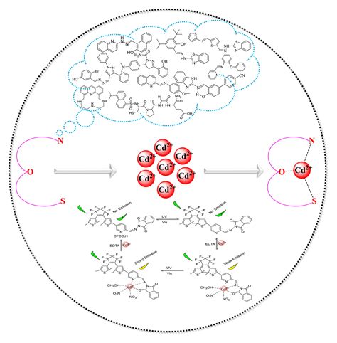Recent Advancements In Fluorometric And Colorimetric Detection Of Cd2