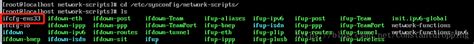 linux关闭ipv6显示以及开启ipv4地址 ipv6init csdn博客