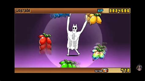 แมวๆมาแล้ว😺😺😺 Youtube