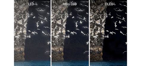 Know Aspects Of The Best OLED TV In India LG IN