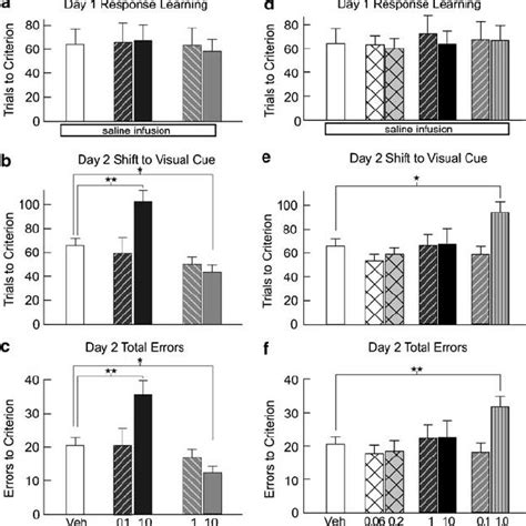 Example Of The Attentional Set Shifting Task Used In Experiment 1 The Download Scientific