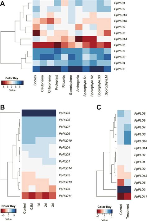 Frontiers Characterization And Evolutionary Diversification Of The