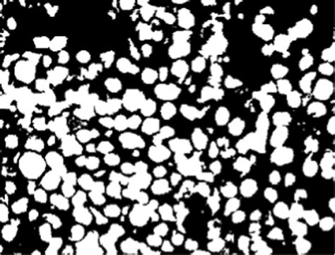 Binary Image Based On Threshold Download Scientific Diagram