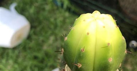 Recovery Album On Imgur