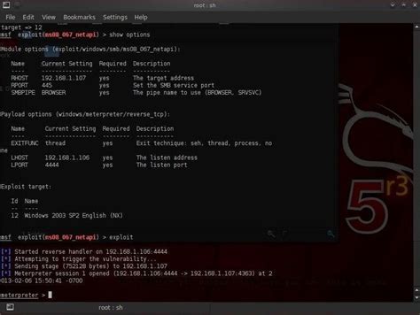 Hack Like A Pro The Ultimate List Of Hacking Scripts For Metasploits
