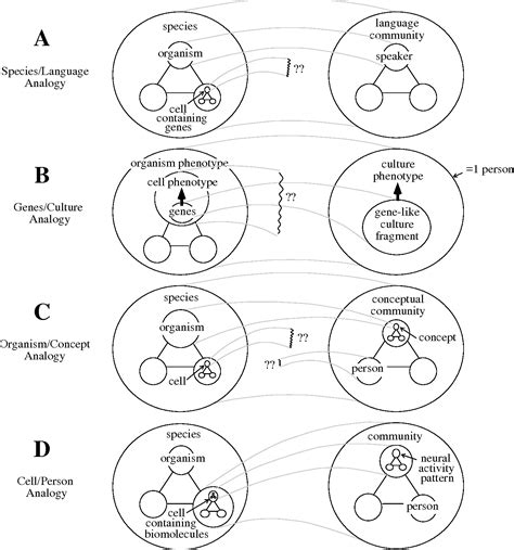 [pdf] Four Analogies Between Biological And Cultural Linguistic Evolution Semantic Scholar