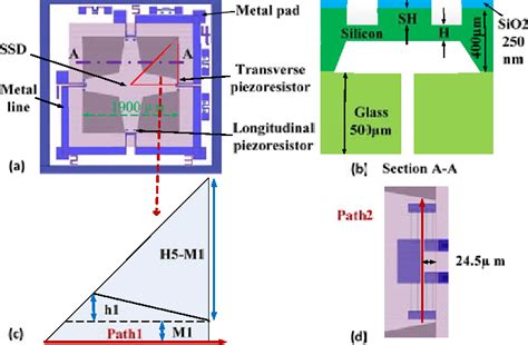 A Proposed Ssd Sensor Structure B Section A A C 1 8 Ssd Plan View Download Scientific