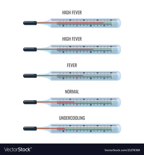 How To Check Temperature Using Mercury Thermometer At Robert Mulkey Blog