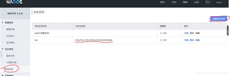 Nacos（二） 读取不到配置中心文件问题 Csdn博客