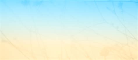 추상 Backgrund 여름 블루 노란색 오버레이 여름 태양 그림자 잎 화이트 그라데이션 색상 흐림 방 시멘트 바닥 벽 배경 모형 제품 아름다움 화장품 프리 젠 테이션