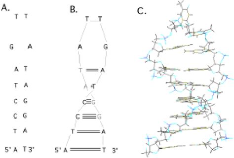 Figure 2 From Dna Inverted Repeats And Human Disease Semantic Scholar