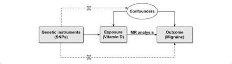 Directed Acyclic Graph Representing The Mendelian Randomization