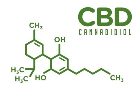 CBD Oil Drug Interactions