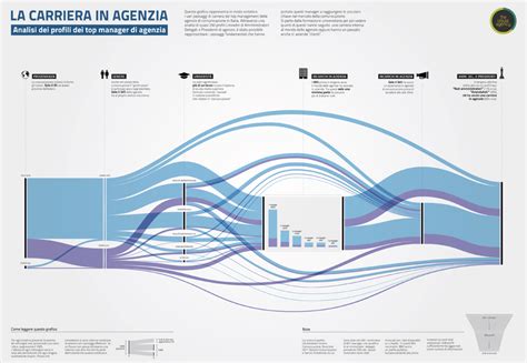 Alluvial Diagram Data Viz Project