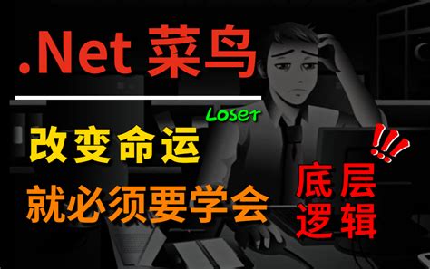 Net C Net Net Net Net Core Asp Net Core Bilibili