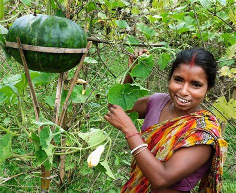 Suchitra Deys Story Landesa