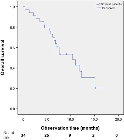 Kaplanmeier Graph Showing Overall Survival Of Patients Available For