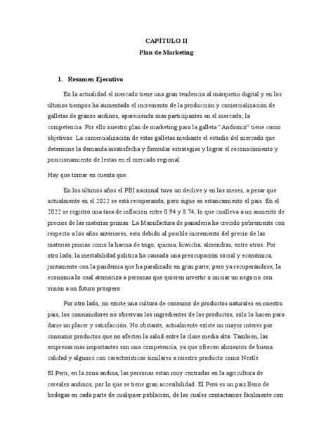 Capitulo Ii Plan De Marketing Pdf Marketing Producto Negocio