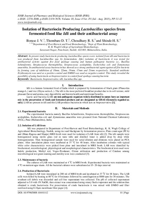 Pdf Isolation Of Bacteriocin Producing Lactobacillus Species From Fermented Food Like Idli And