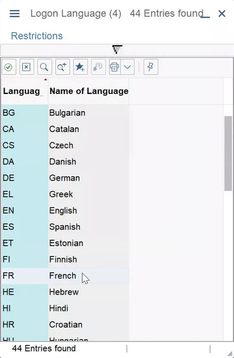 SAP GUI How To Change Language Troubleshooting