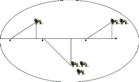 Sampling Design Of The Line Transect Download Scientific Diagram