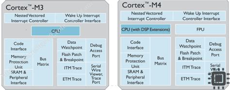 Learn Arm Cortex M Lpc Microcontroller Architecture Hot Sex Picture