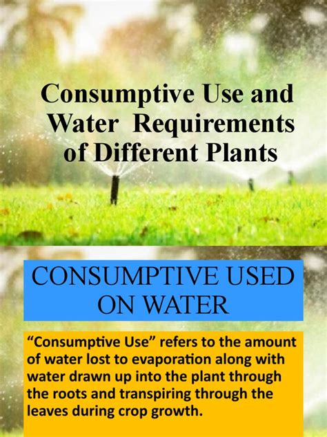 Consumptive Use And Water Requirements Of Different Crops Pdf Water Earth Sciences