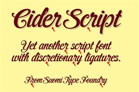 Cider Script Fonts ~ Creative Market