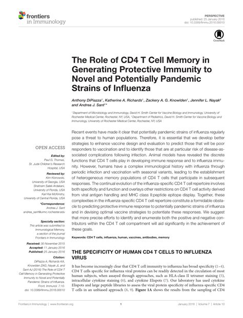 Pdf The Role Of Cd4 T Cell Memory In Generating Protective Immunity