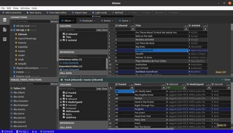 Install DbGate On Linux Snap Store