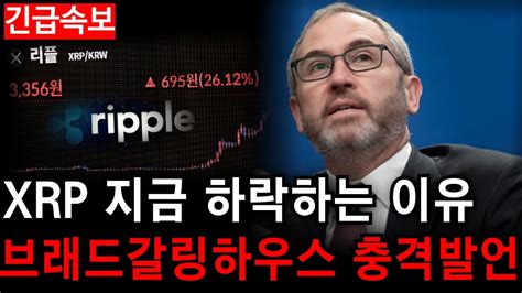 Xrp 지금 왜 하락하나 브래드 갈링하우스의 충격적인 발언 Youtube