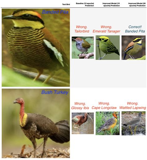 Tensorflow Convolutional Neural Networks For Image Classification