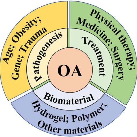 The Main Content Of This Review Includes Osteoarthritis Oa Download Scientific Diagram