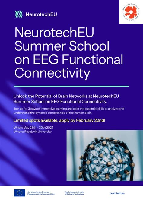 Neurotecheu Summer School On Eeg Functional Connectivity At Reykjavik University Neurotecheu