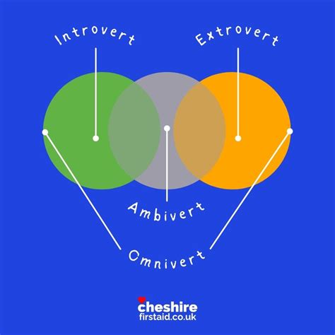 Introvert Extrovert Ambivert And Omnivert