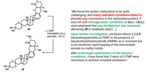 What Is Total Synthesis The Basics Explained