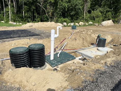 Tank You Very Much Cil