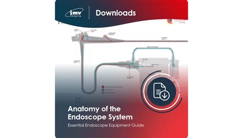 Anatomy Of Endoscope System Free Download Imv Imaging