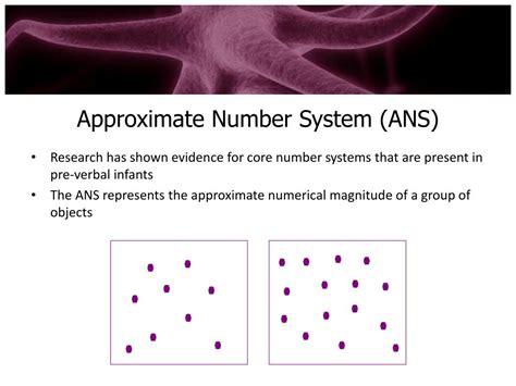 Ppt Number Processing In Infants Powerpoint Presentation Free