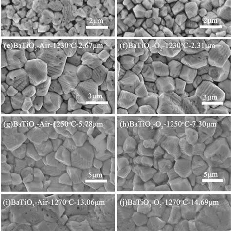 Domain Structures Of Poled Batio3 Ceramics Under Different Sintering Download Scientific